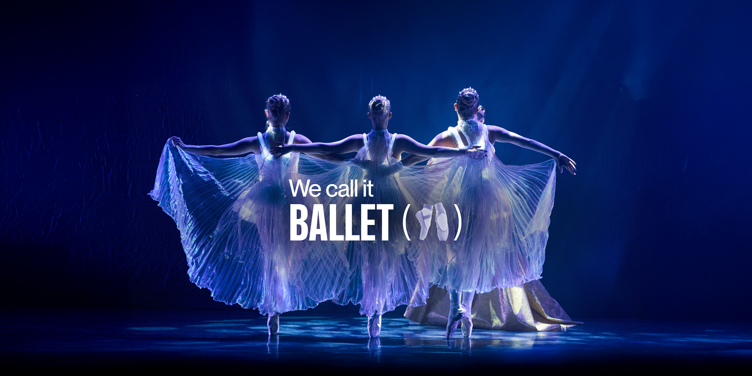 We call it Ballet: Sleeping Beauty Dance & Light Show. - SkyCity Auckland